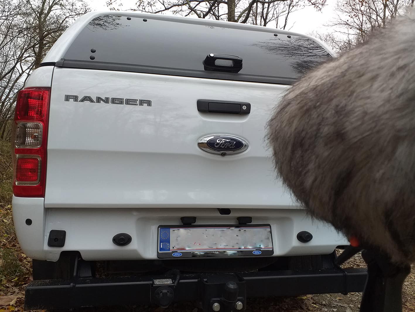 Ford Ranger | Car Sound Effects Library | Asoundeffect.com